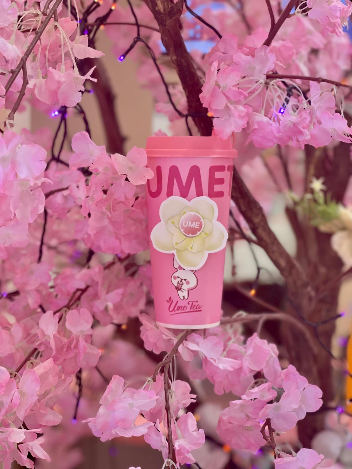 Ume tea